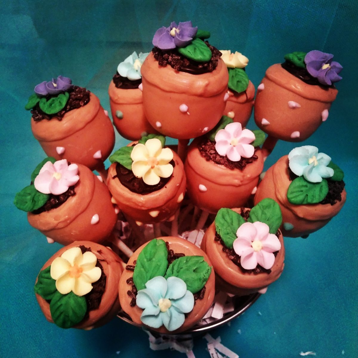 Cake Pops Buffalo Cake Pops