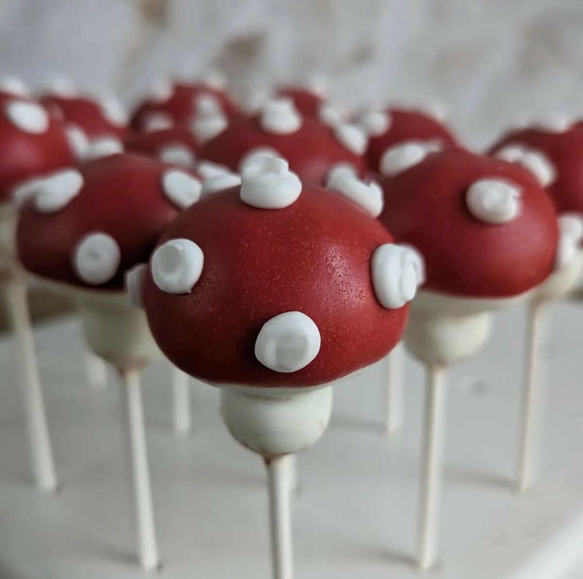 Flowers & Plants - Buffalo Cake Pops Bakery